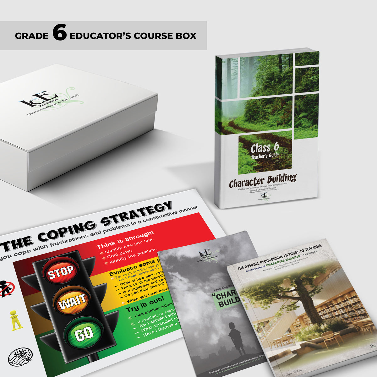 Grade 6 course box for educators – ICE | Integrated Character Education